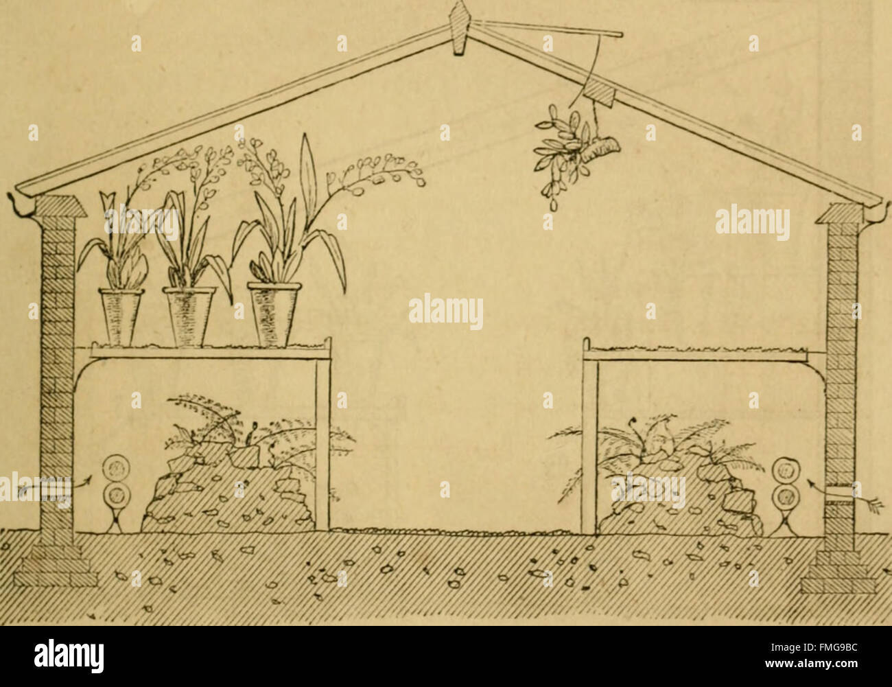 ‘Cool Orchids, and How to Grow Them’ provides a guide on cultivating ...