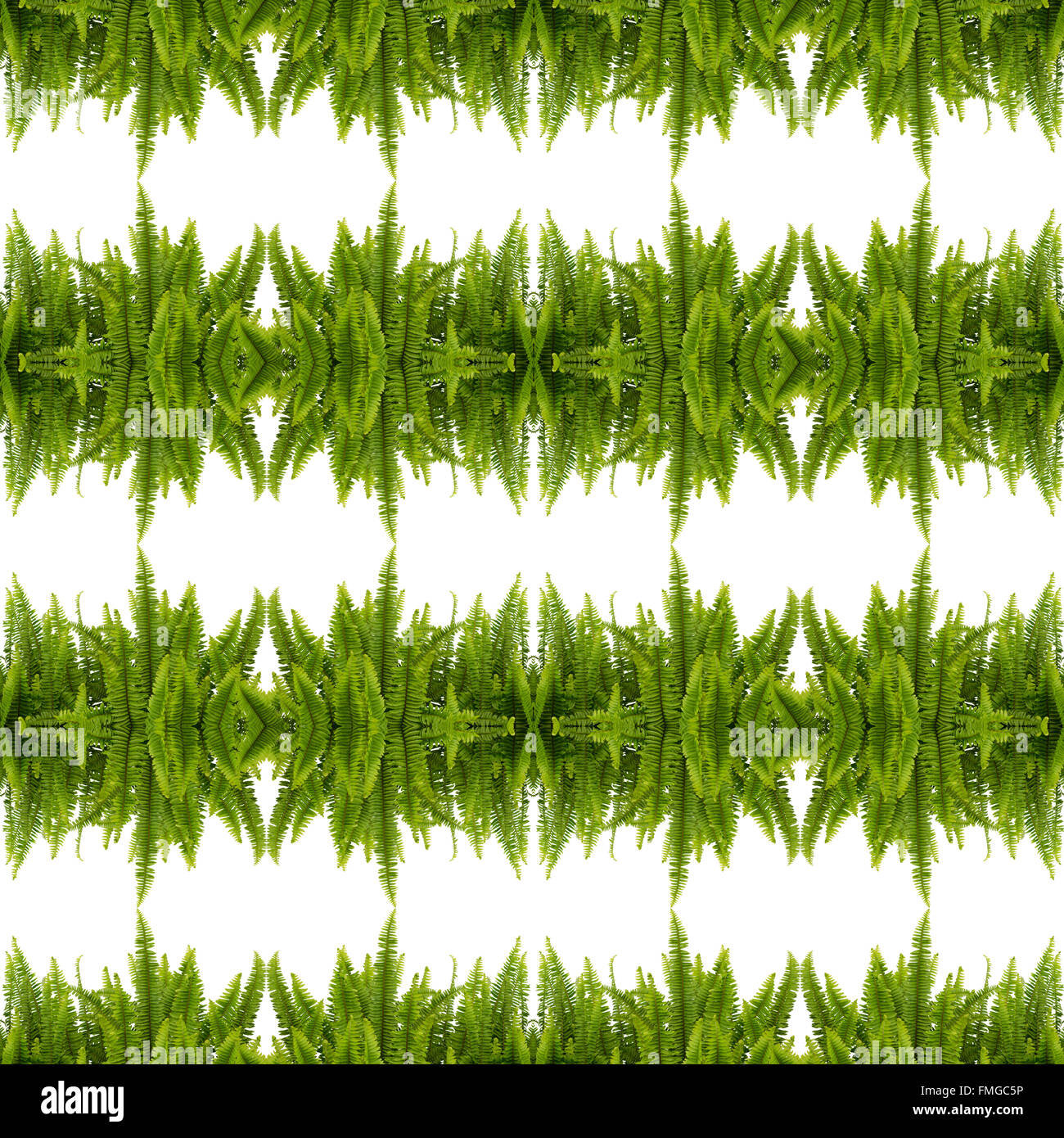 Tuber Sword Fern Seamless Pattern Background Stock Photo - Alamy