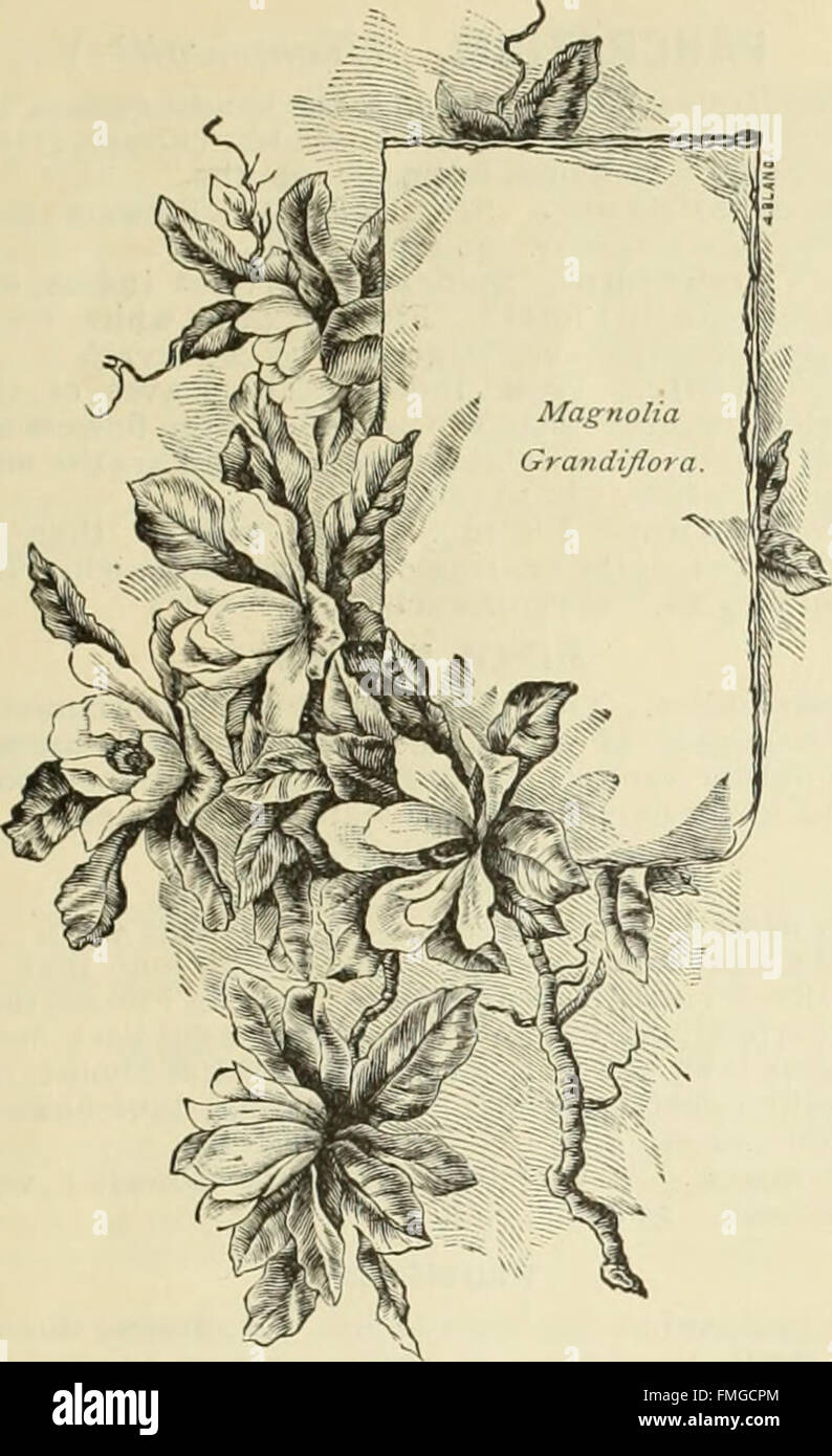 Descriptive price list hi-res stock photography and images - Alamy