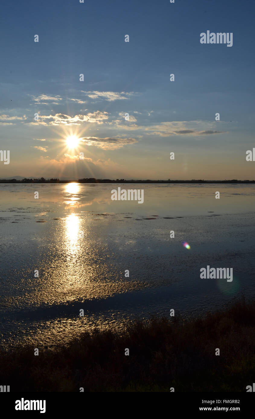 Sunlight reflection on water, saltern natural reserve, Cervia, Ravenna ...