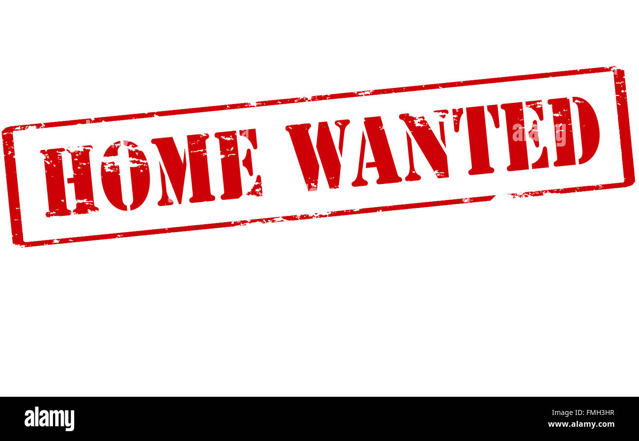 Rubber stamp with text home wanted inside, vector illustration Stock ...