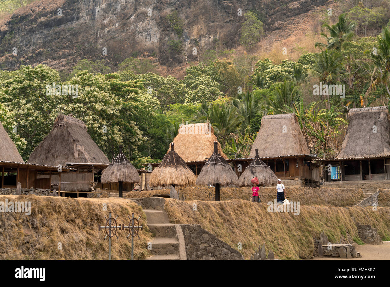 traditional high thatch-roofed houses and shrines in the Ngada village ...
