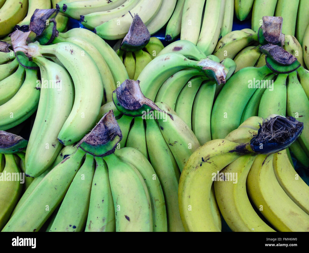 Lots of bananas hi-res stock photography and images - Alamy