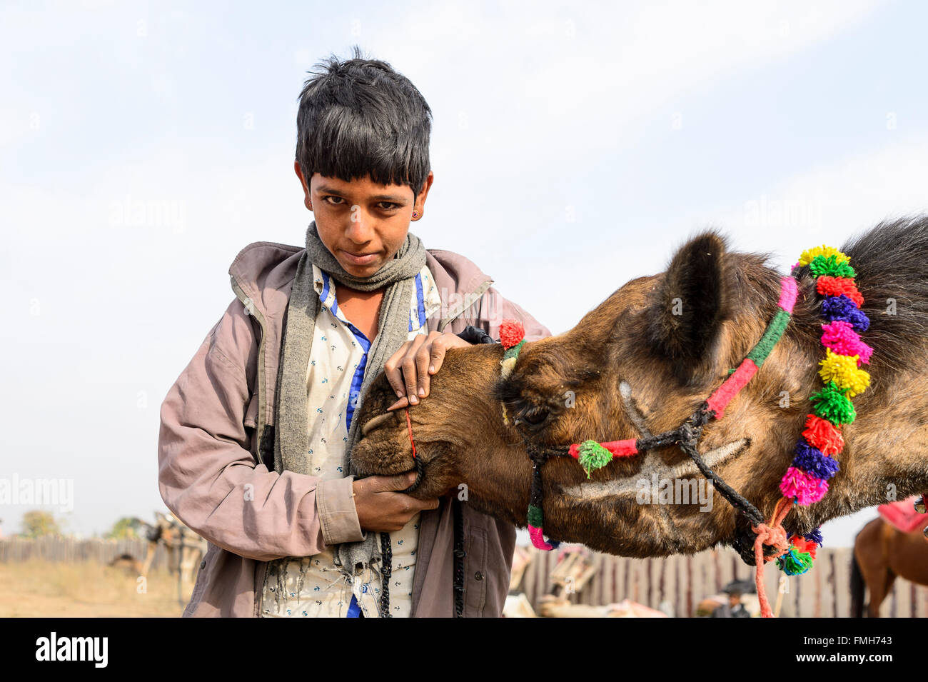 Nagaur Cattle Fair, Rajasthan Stock Photo - Alamy