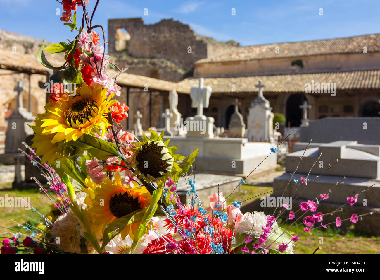 colorful flowers in a cemetery Stock Photo - Alamy