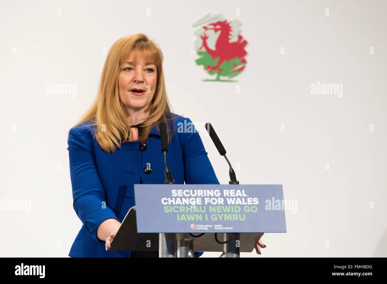 MEP Kay Swinburne speaks during the Welsh Conservative Party Conference ...