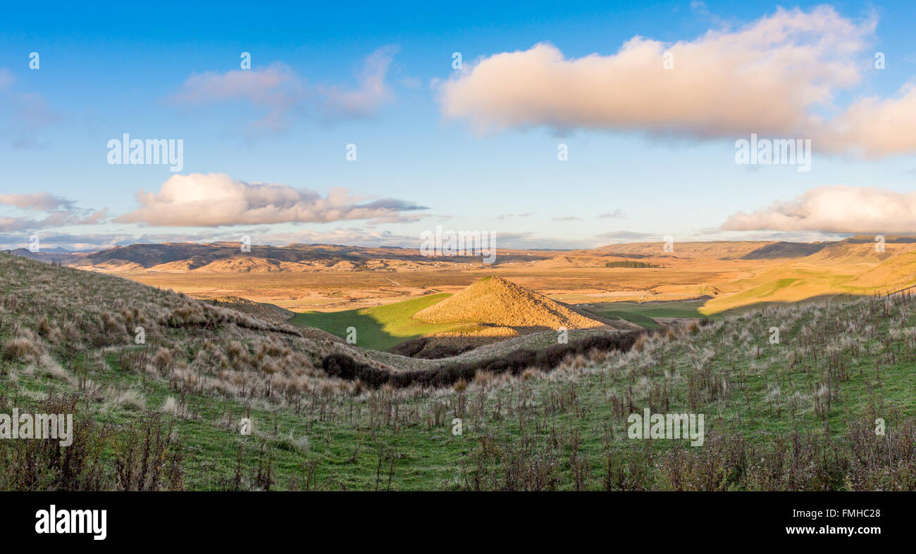 Bush Landscape Nature New Zealand Stock Photo - Alamy