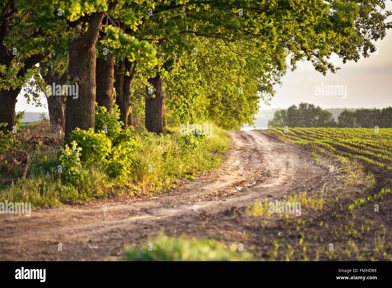 Arable country hi-res stock photography and images - Alamy