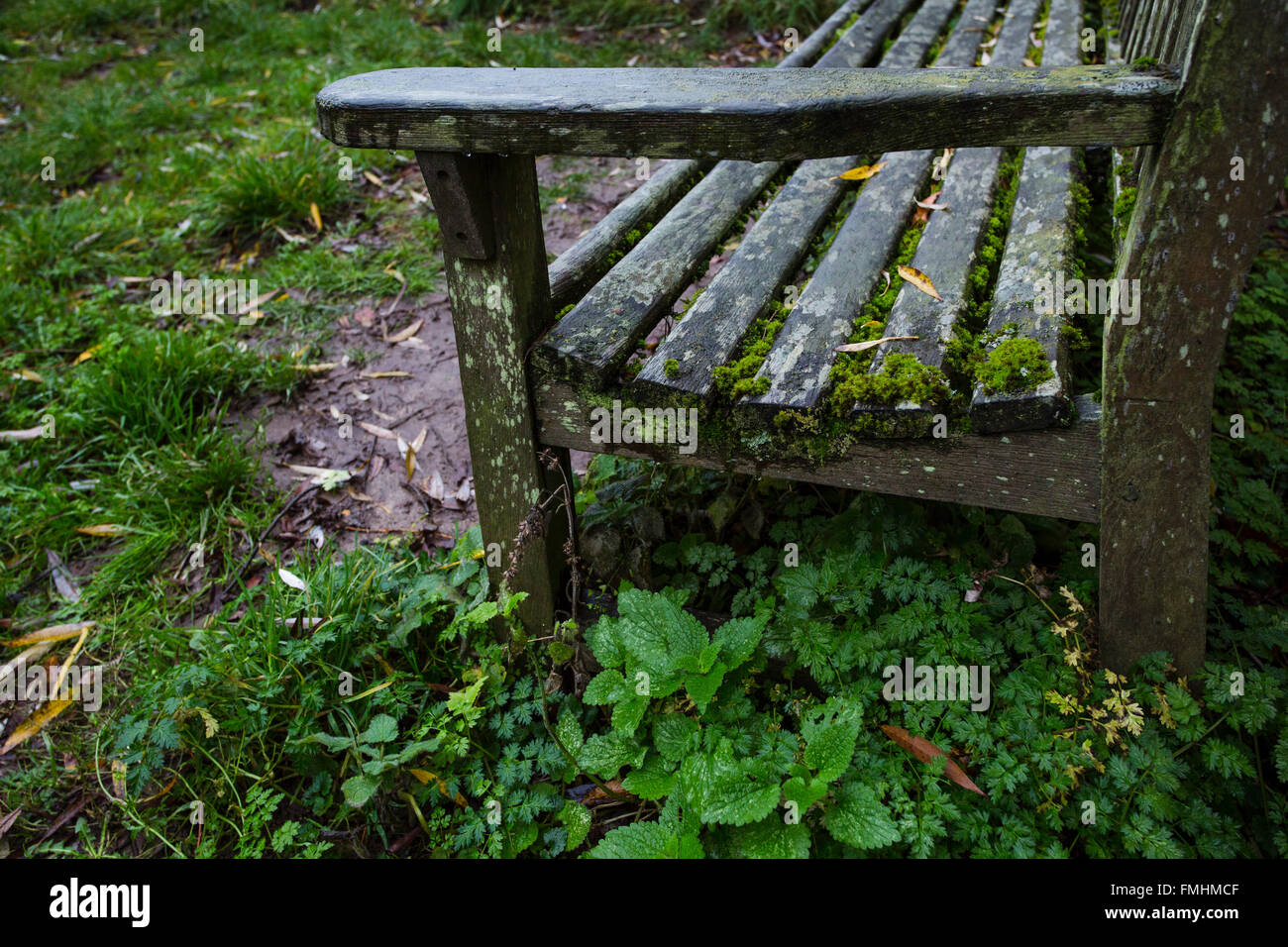 An old wodden bench seat covered in moss and wetahered by time Stock ...