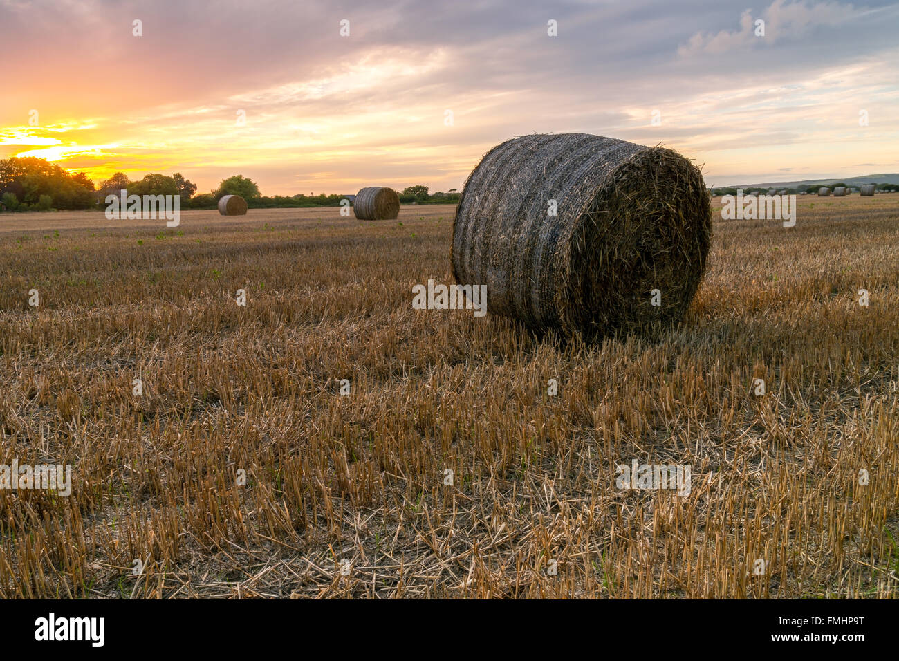 Straws field trees agriculture hi-res stock photography and images - Alamy