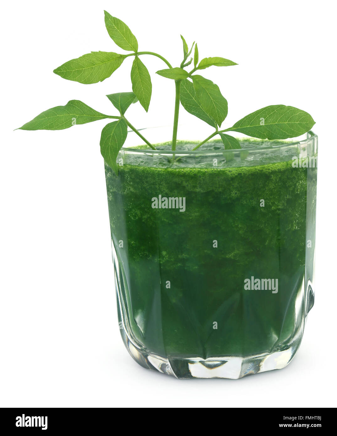 Vitex Negundo or Medicinal Nishinda leaves with juice in a glass Stock ...