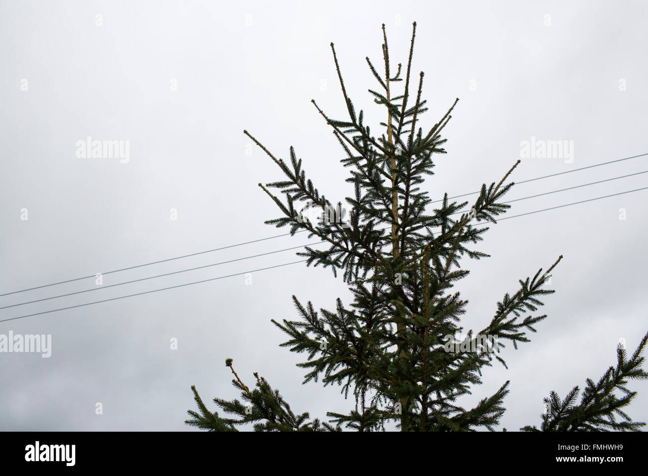 Chrsitmas hi-res stock photography and images - Alamy