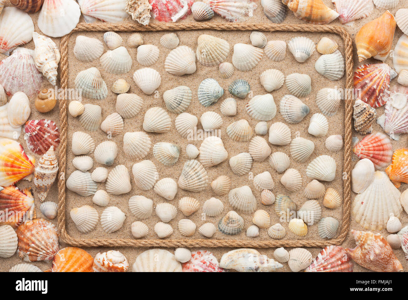 Beautiful frame of rope and sea shells on the sand, as background Stock ...