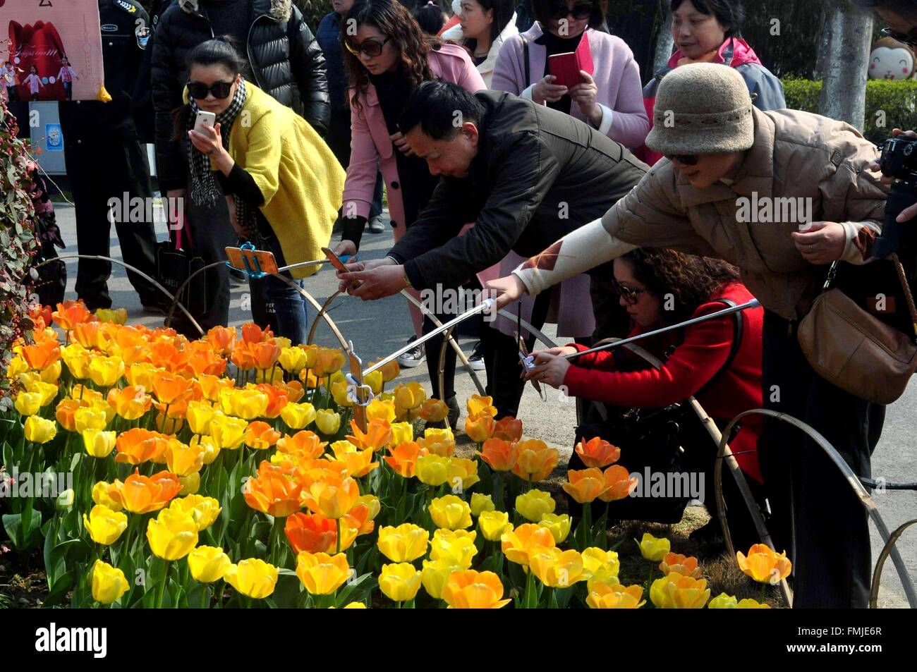 Shanghai, China. 12th Mar, 2016. Visitors take photos of tulip flowers ...