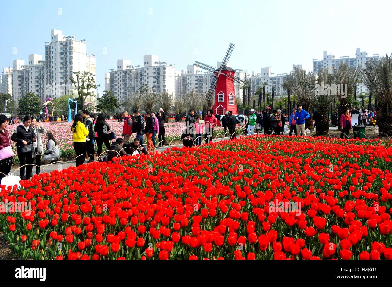 Shanghai, China. 12th Mar, 2016. Visitors view tulip flowers during ...