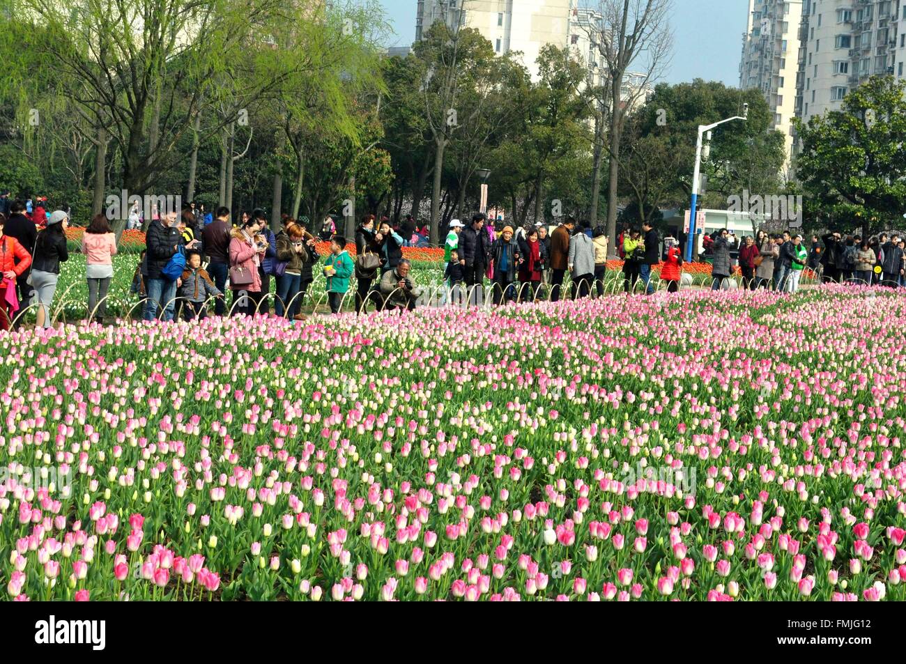 Shanghai, China. 12th Mar, 2016. Visitors view tulip flowers during ...