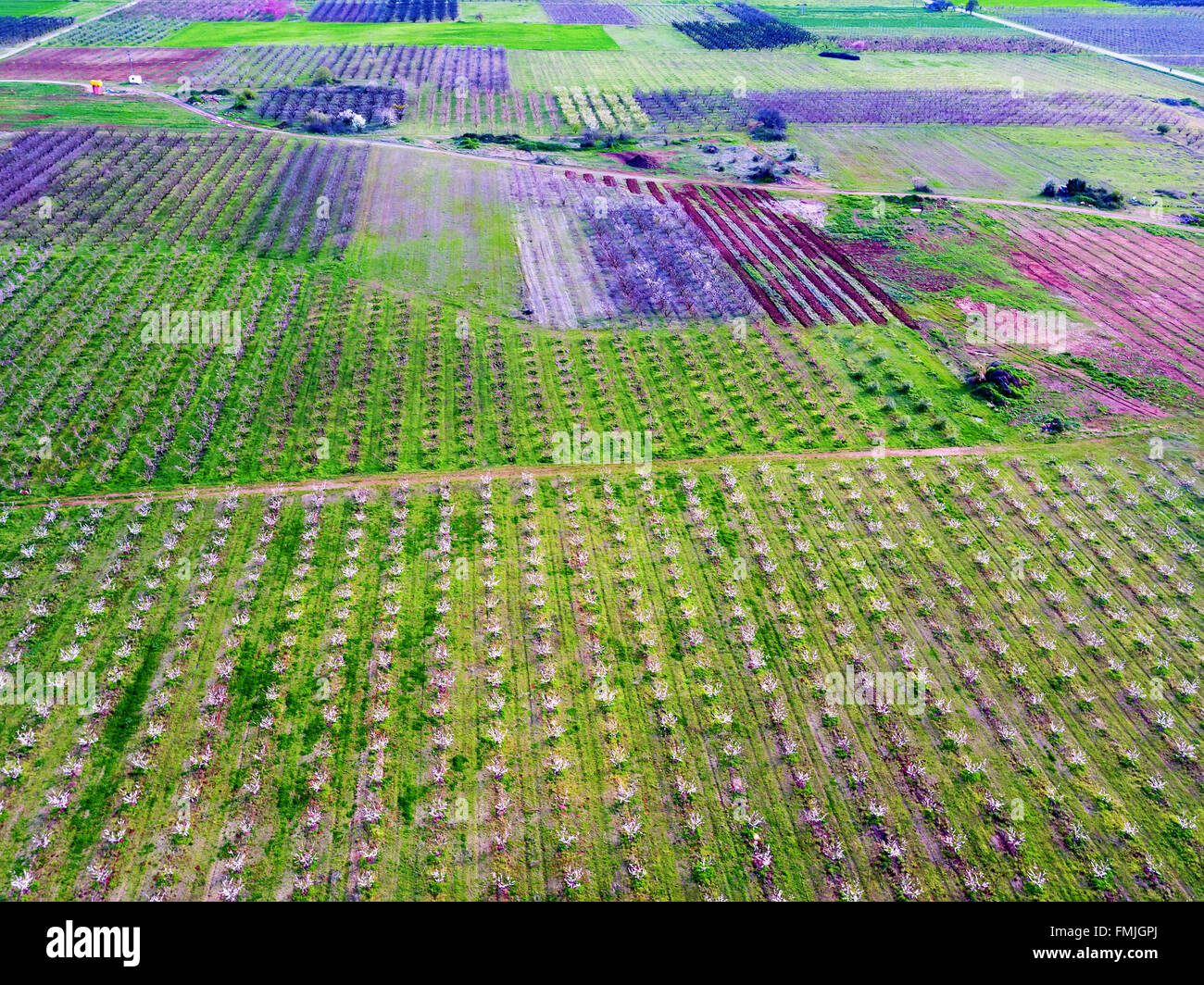 Agricultural fields hi-res stock photography and images - Alamy