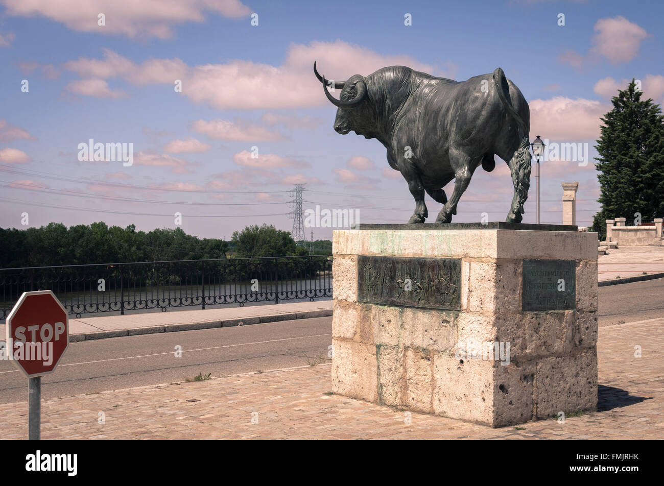 Statue bronze of Toro de la Vega, Tordesillas, Castilla y León, Spain ...