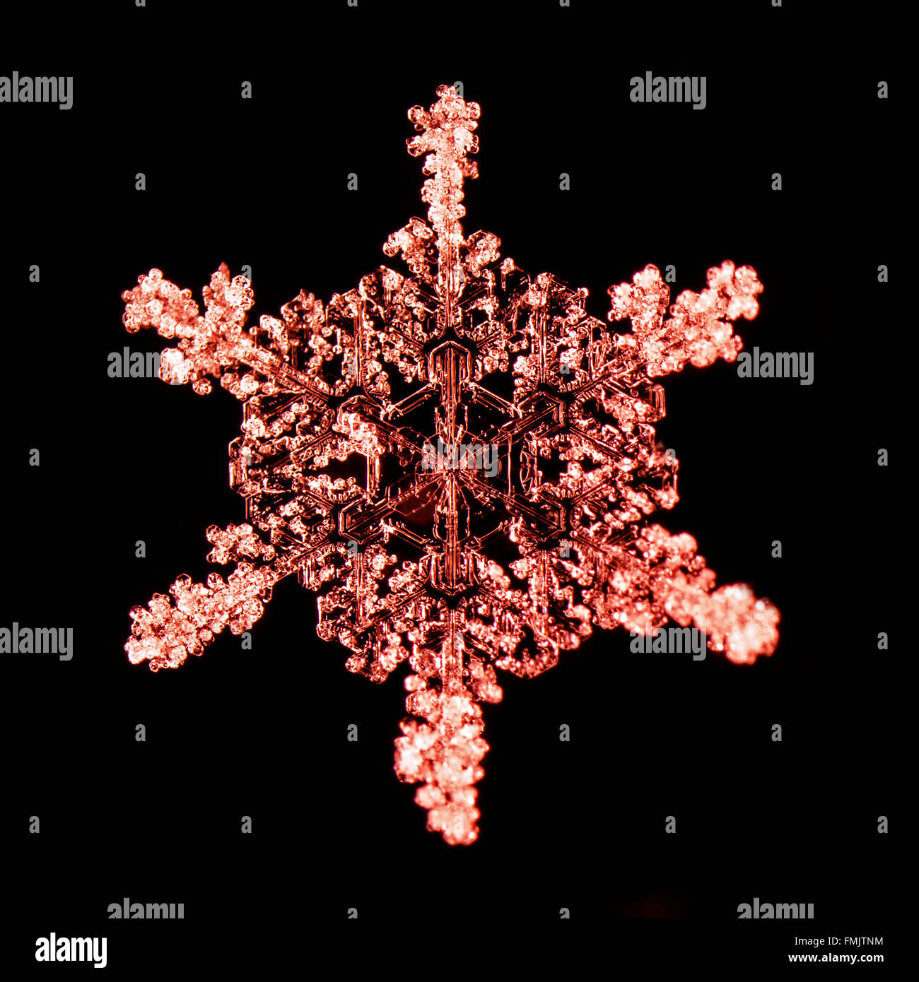 Real snowflake hi-res stock photography and images - Alamy