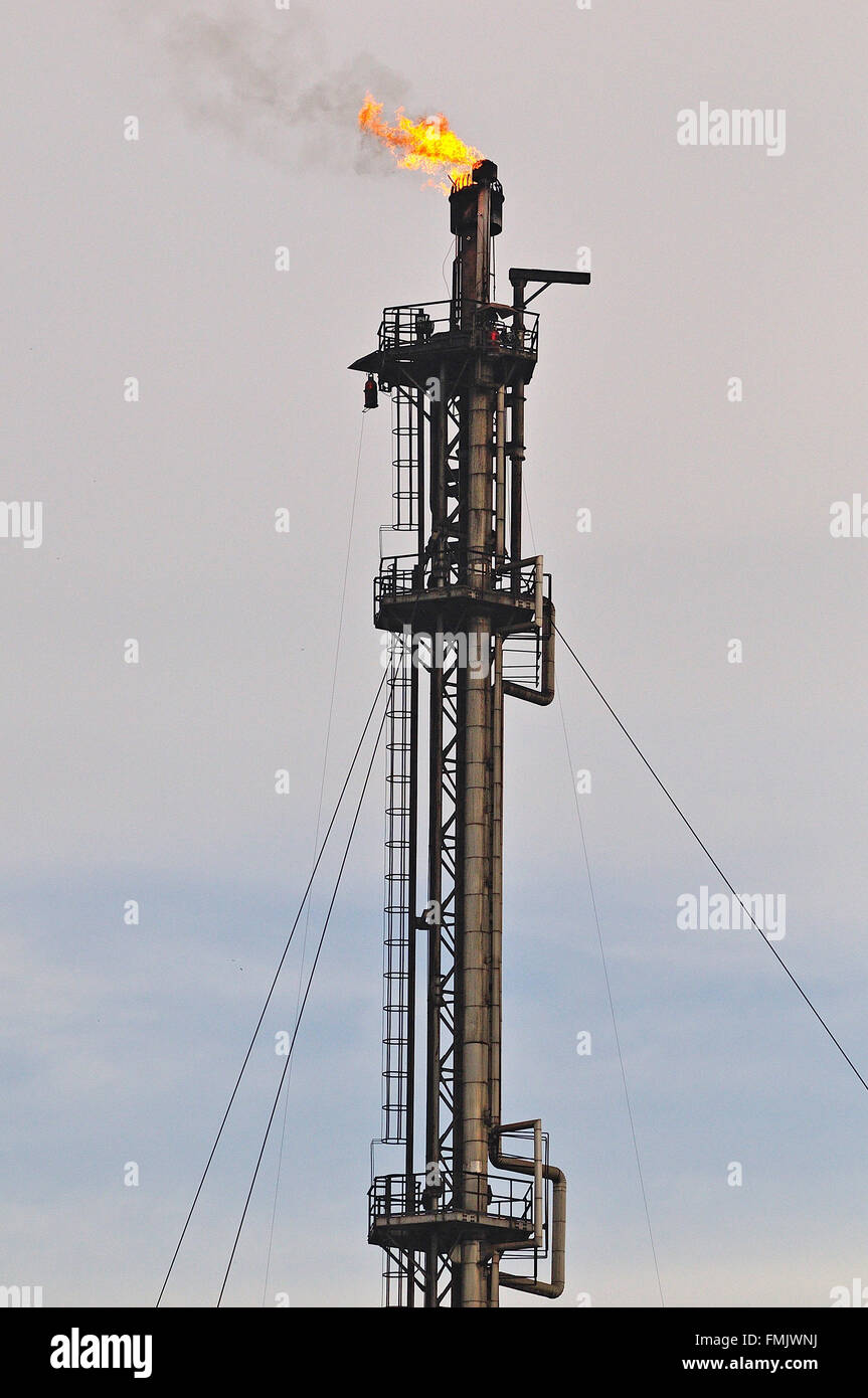 flame flare in Oil Refinery factory morning Stock Photo - Alamy