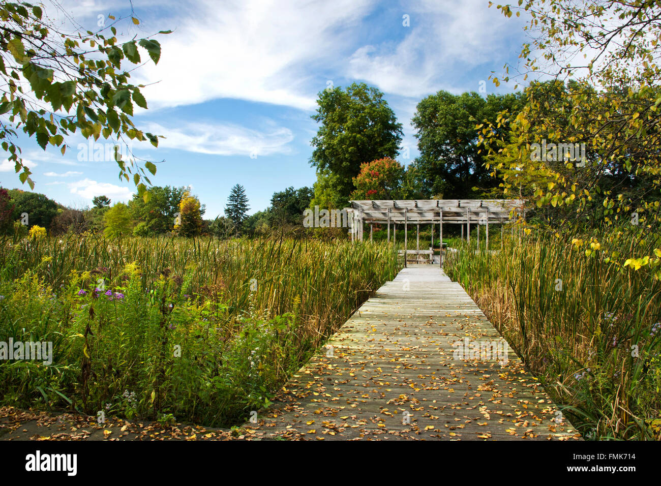 Pond walk hi-res stock photography and images - Alamy
