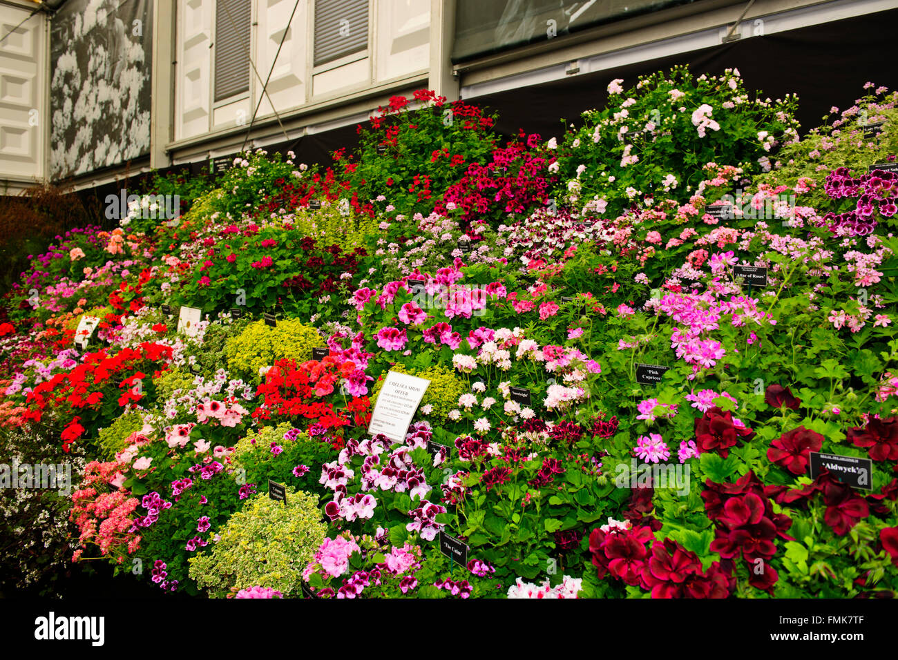 Whetman hi-res stock photography and images - Alamy