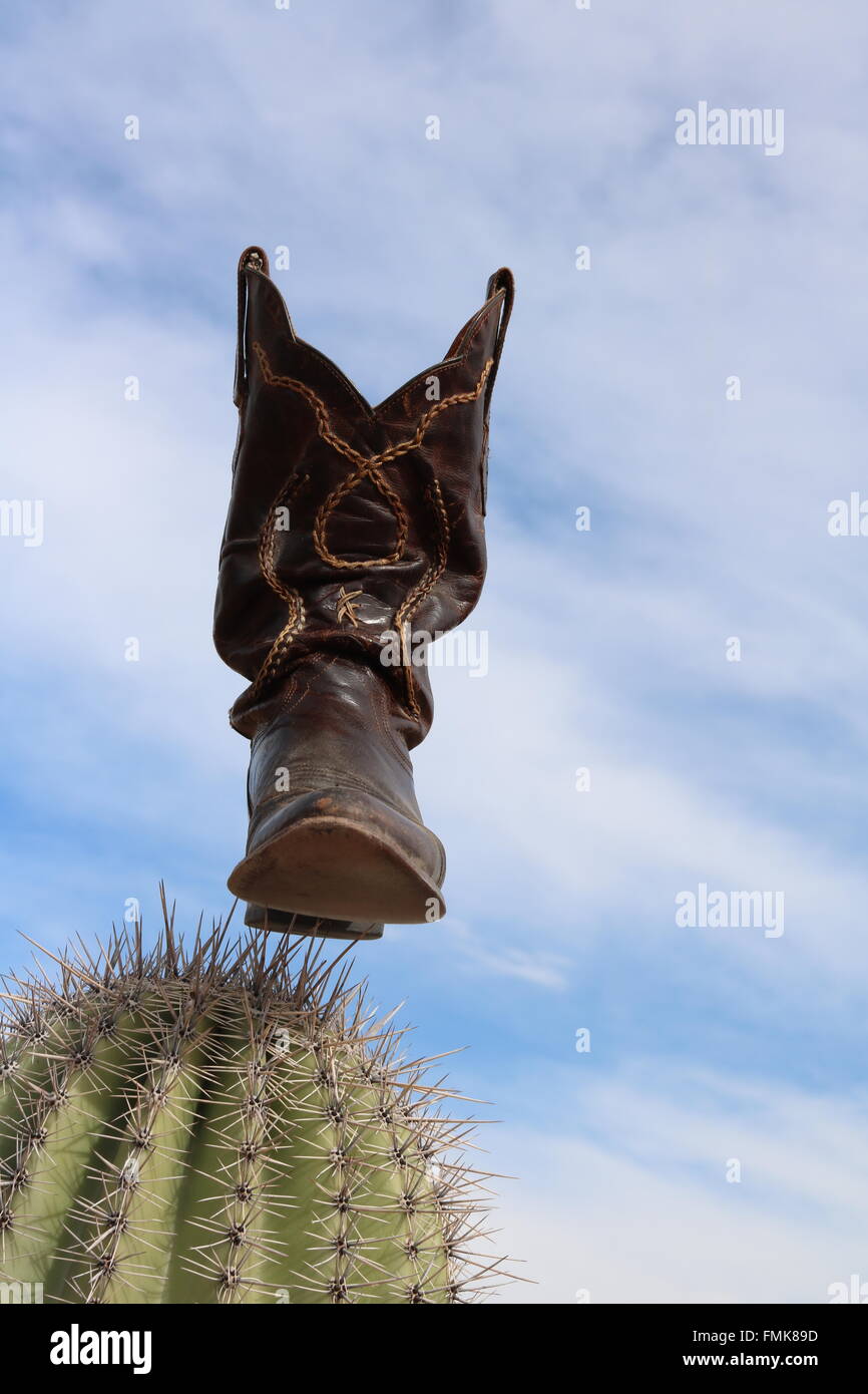 Boot on Saguaro Stock Photo - Alamy