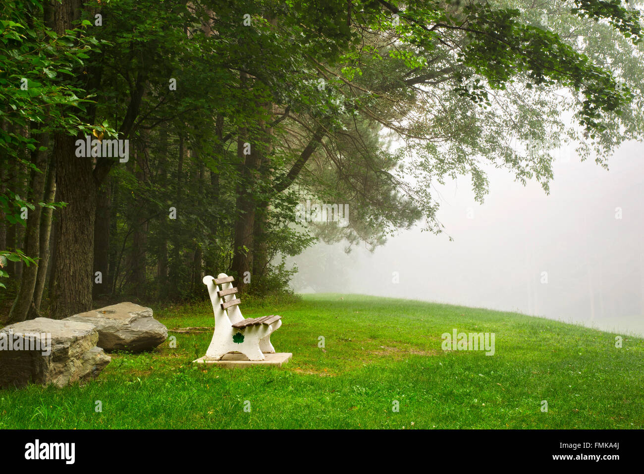 Place to sit under trees hi-res stock photography and images - Alamy