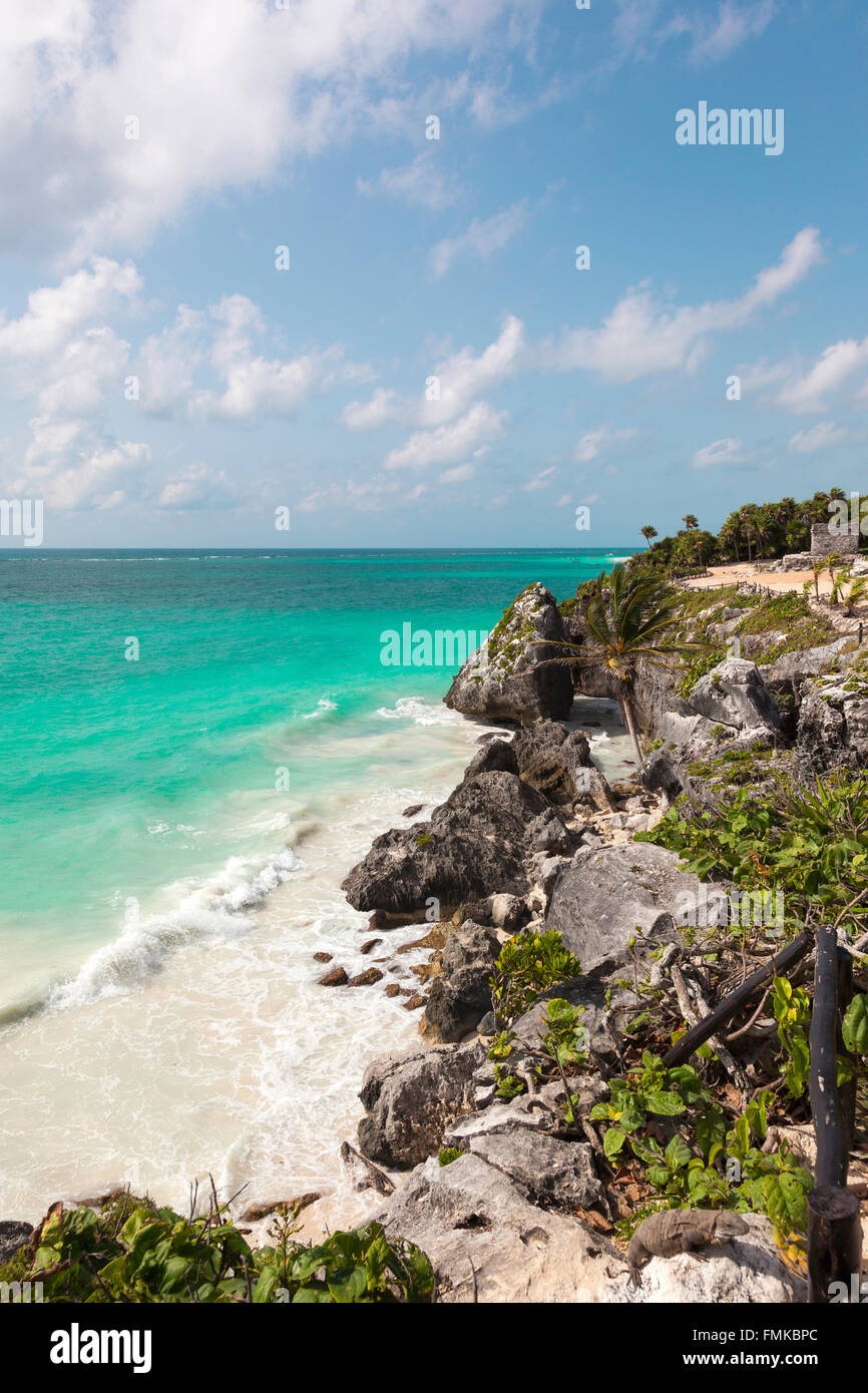 Ancient Mayan ruins of Tulum in Caribbean sea, Mexico Stock Photo - Alamy