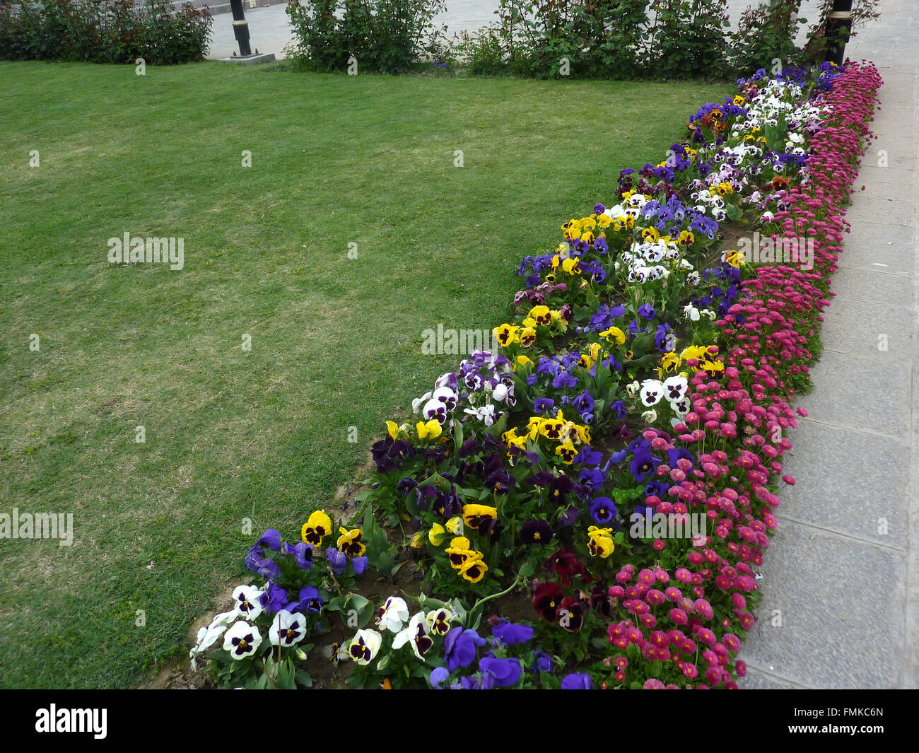 Pathway border hi-res stock photography and images - Alamy