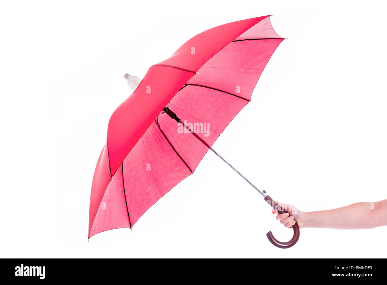 Hand holding a red umbrella, isolated on white background Stock Photo ...