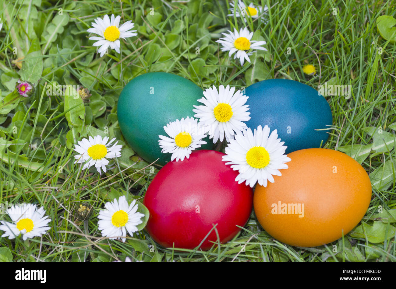 Easter Eggs in the Grass Full of Daisy Flowers Closeup Stock Photo - Alamy