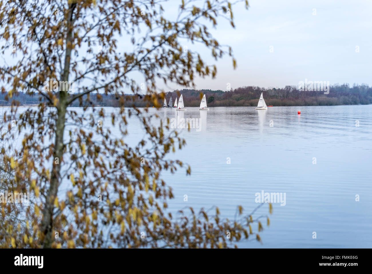 Chasewater Reservoir High Resolution Stock Photography and Images - Alamy