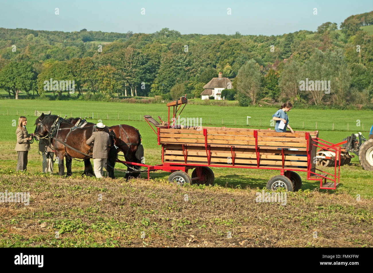 Sussex, Horse Drawn Cartage Stock Photo - Alamy