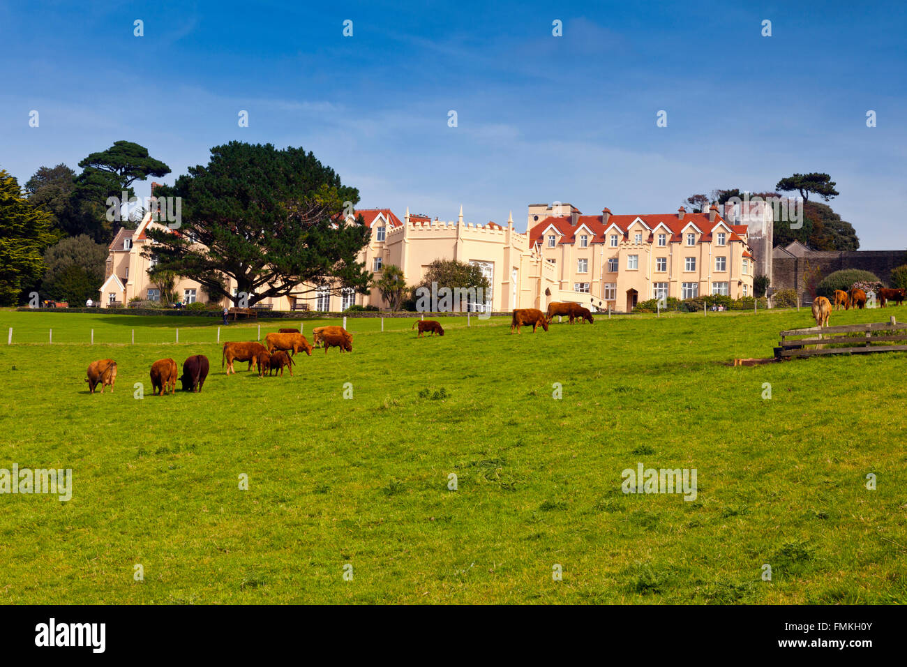 Lee abbey lynton devon uk hi-res stock photography and images - Alamy