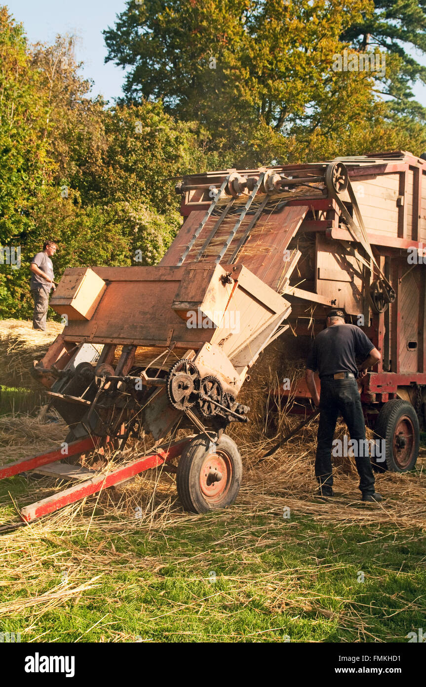 Sussex, Museum, Harvest Threshing Machine Driven by a Steam Traction ...
