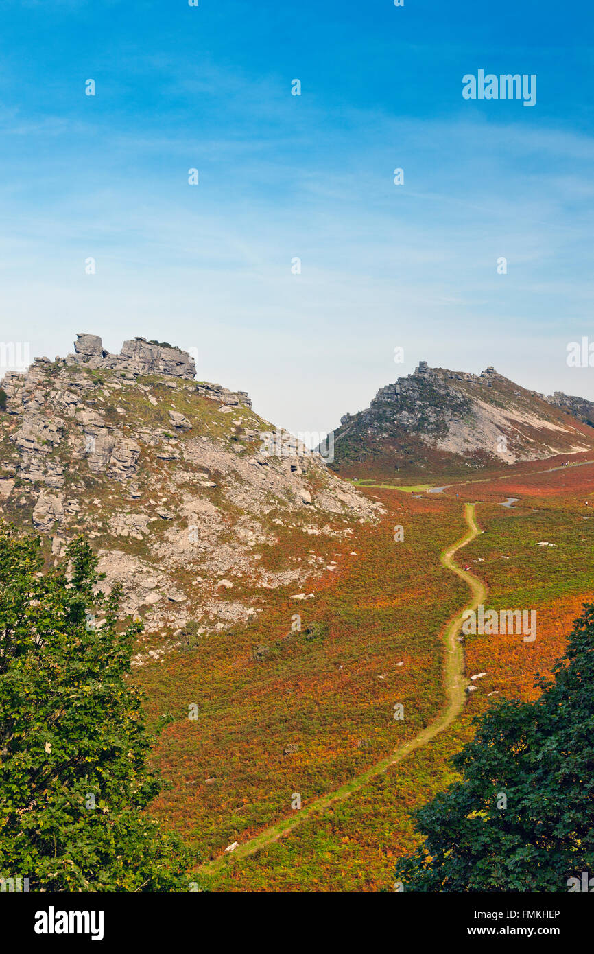 The bracken is beginning to turn an autumnal brown in the Valley of ...