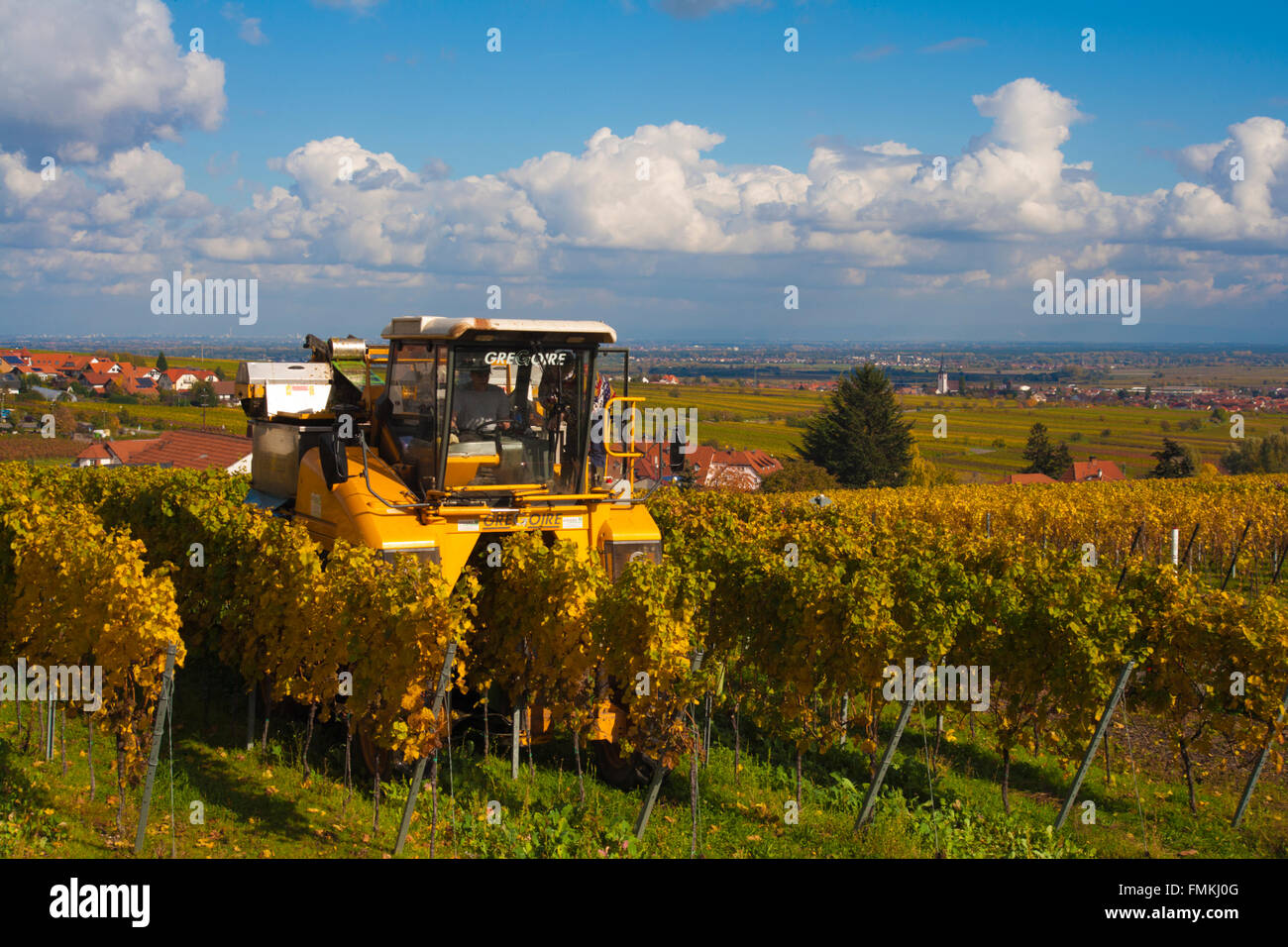 Grapes farming machine hi-res stock photography and images - Alamy
