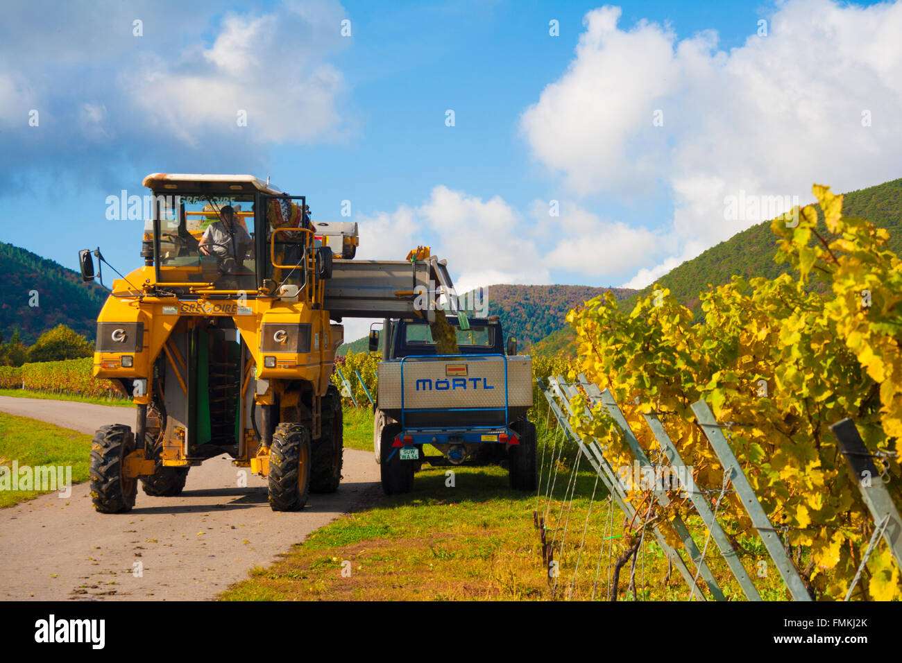 Grapes farming machine hi-res stock photography and images - Alamy