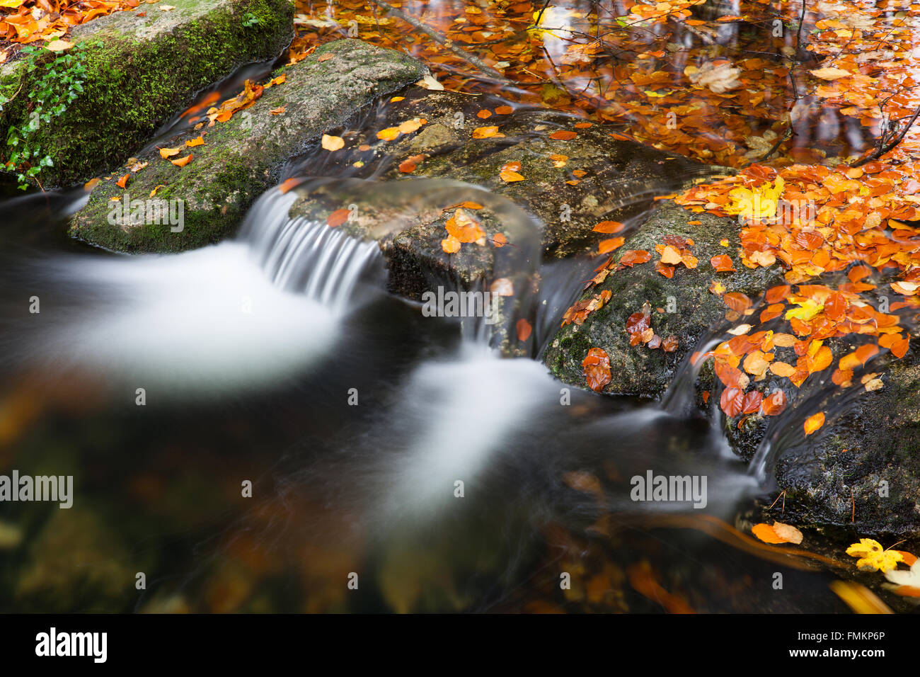 Autumn landscape with river and beautiful foliage Stock Photo - Alamy