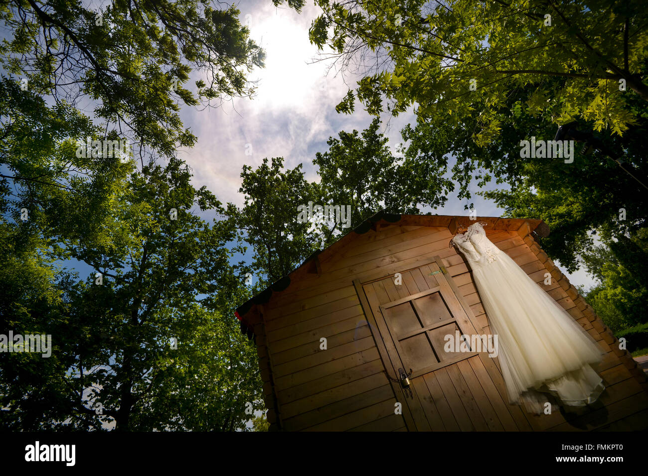 Wedding dress hanging in tree Stock Photo - Alamy