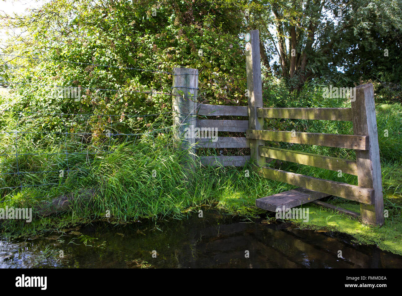 Old style in the country crossing a field and puddles Stock Photo - Alamy