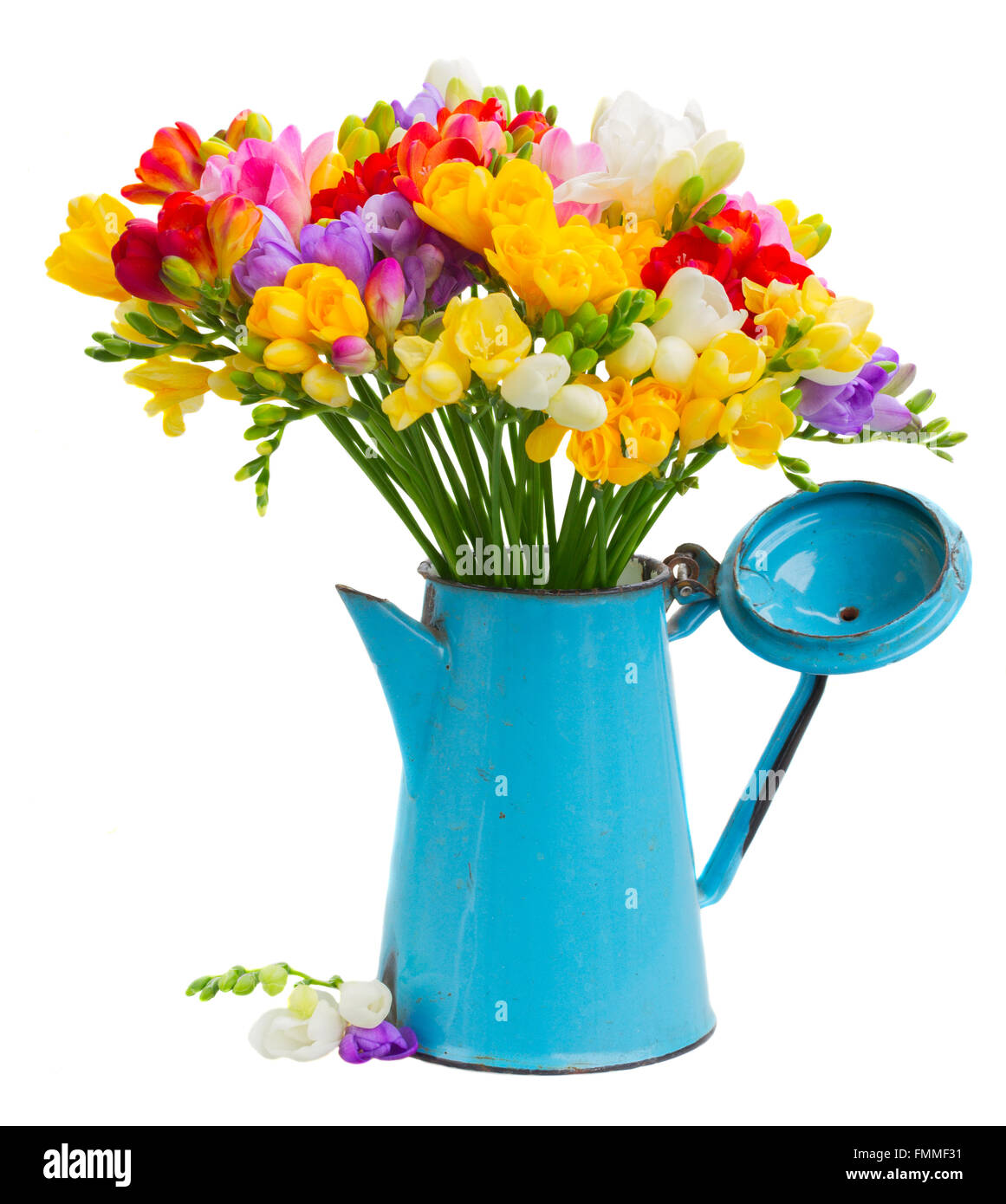 Freesias pot hi-res stock photography and images - Alamy