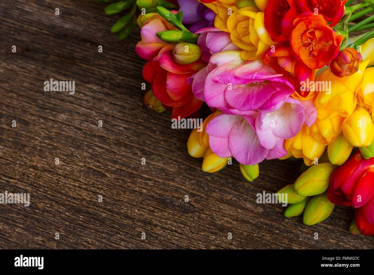 Fresh freesia flowers Stock Photo - Alamy