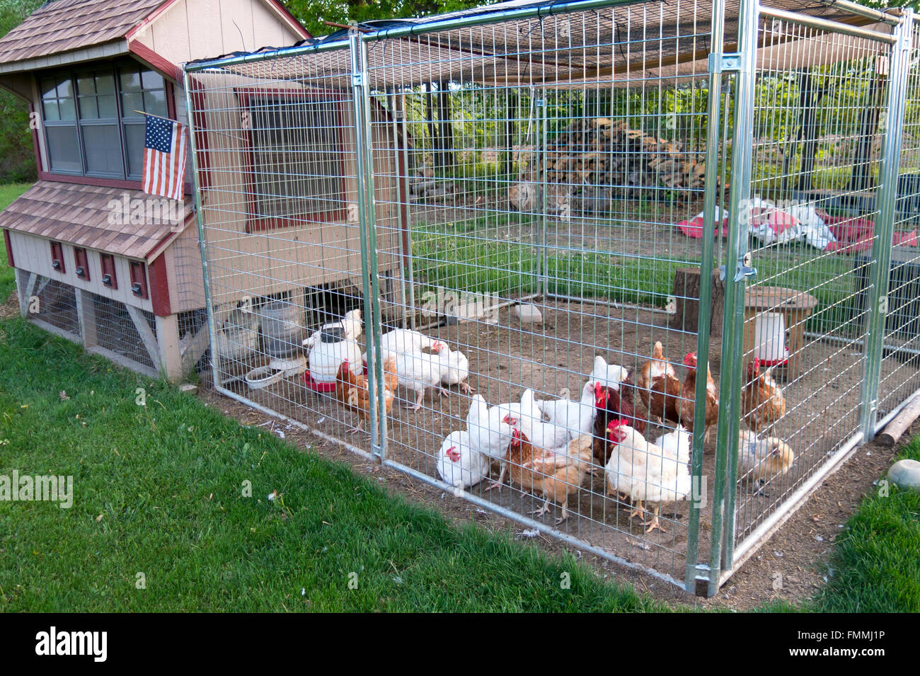 Small chicken coop and fenced area for egg laying fowl Stock Photo - Alamy