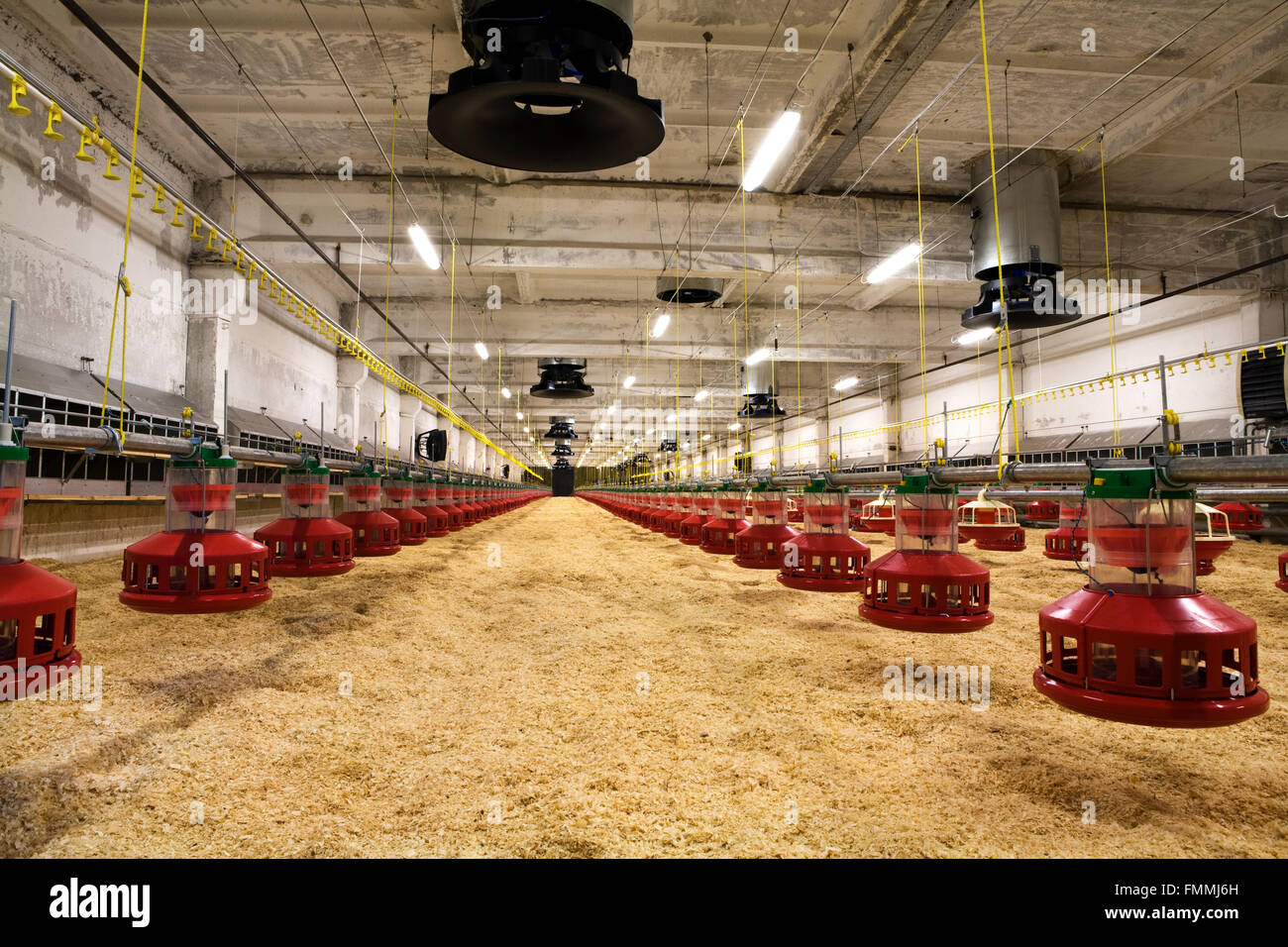 The modern and new automated integrated poultry farm Stock Photo - Alamy