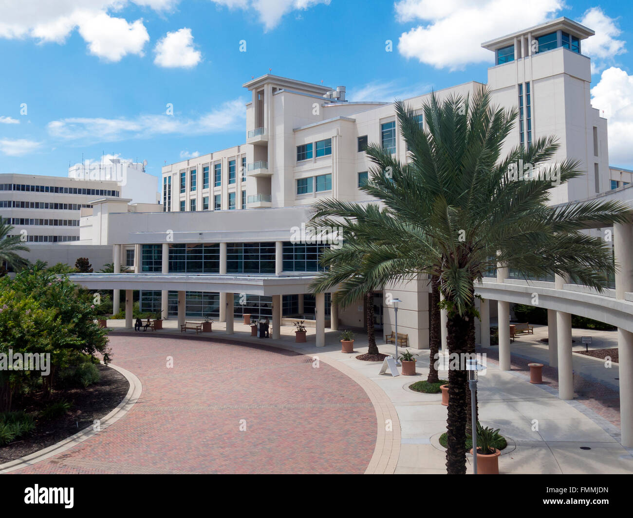 Front entrance to a modern hospital with palm tree landscaping and blue ...