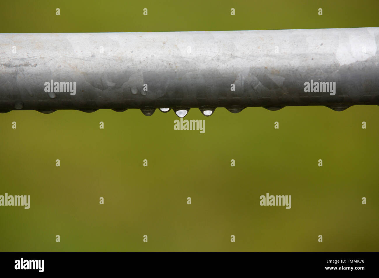 Water droplets hanging from an old gate Stock Photo - Alamy