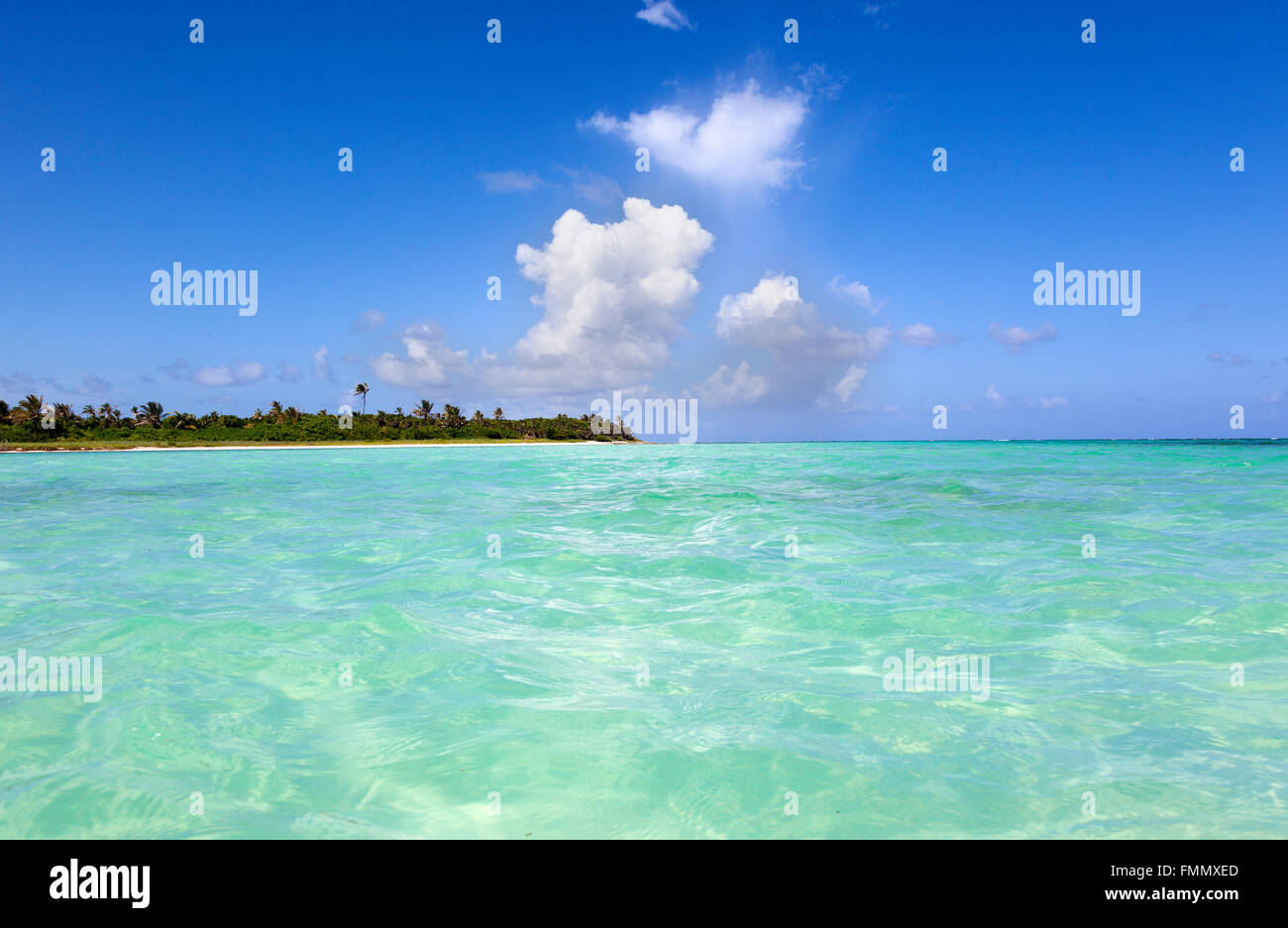 Idyllic beautiful beach in Riviera Maya, Mexico Stock Photo - Alamy