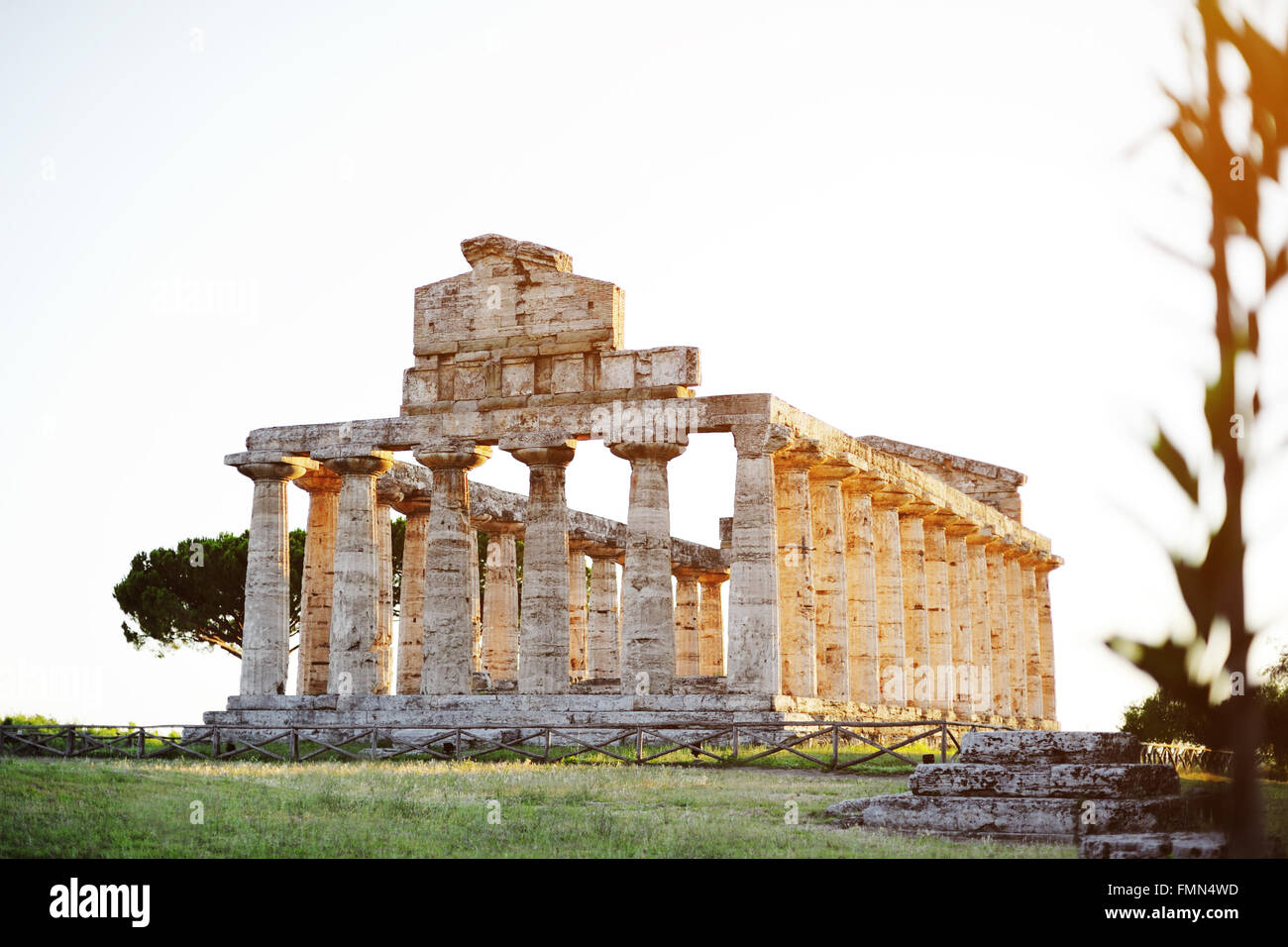 ancient temple in Paestum, Italy Stock Photo - Alamy